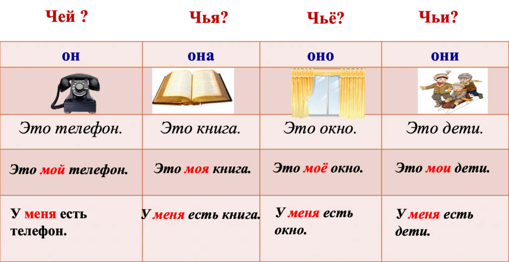Грамматика. Притяжательные местоимения: мой, твой, наш, ваш, его, её ...