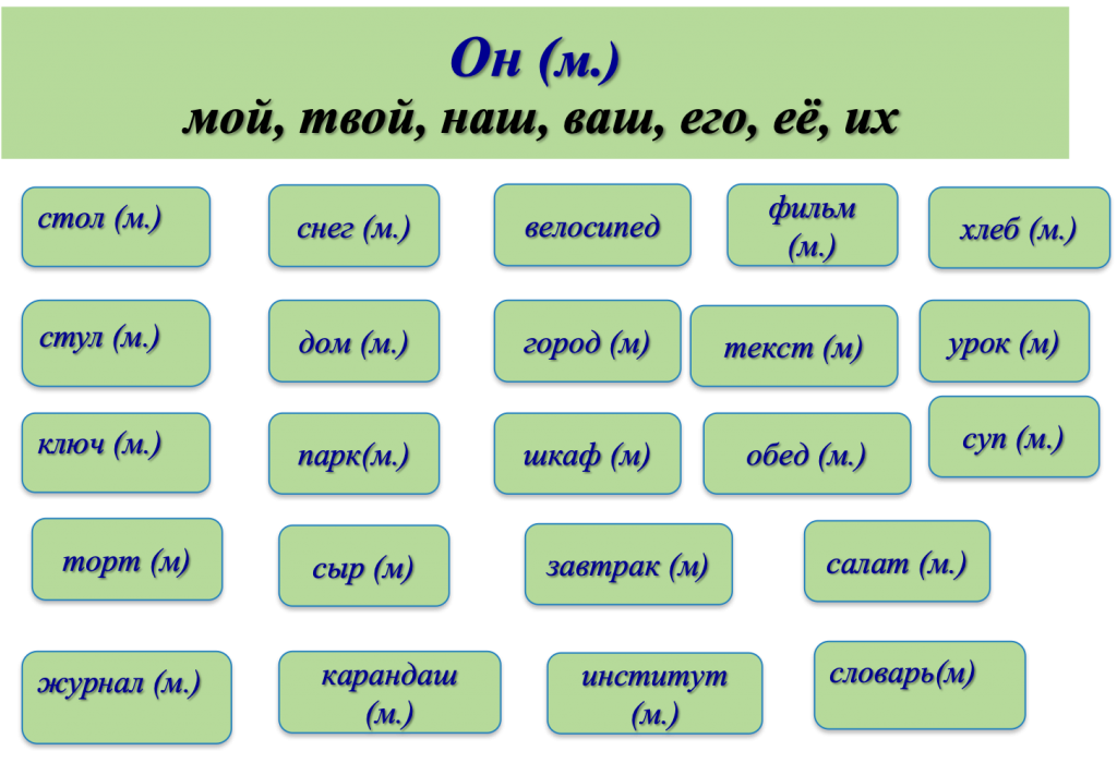 Грамматика. Притяжательные местоимения: мой, твой, наш, ваш, его, её ...