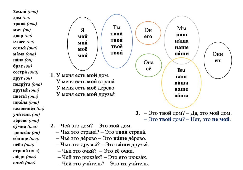 Грамматика. Притяжательные местоимения: мой, твой, наш, ваш, его, её ...